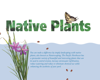 Native Plants (poster, English) - West Multnomah Soil & Water ...